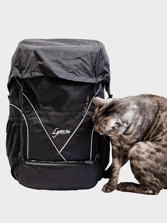 Lyra Cat Pack
